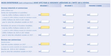 Déclaration Fiscale Auto-Entrepreneur : Guide Ultime pour Remplir le Formulaire 2042 C PRO ...