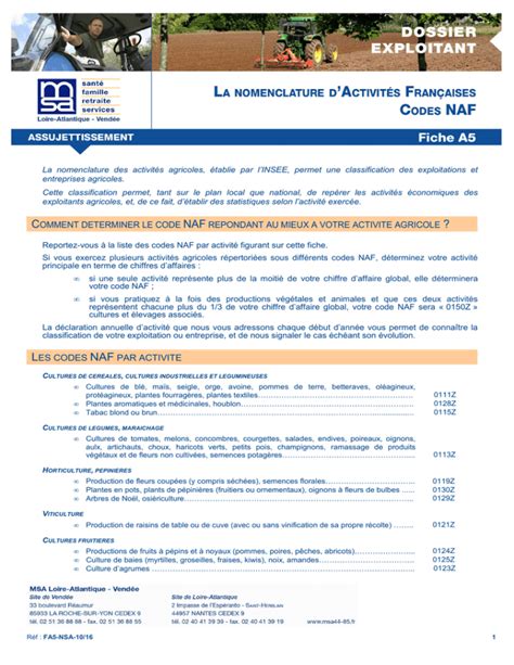 Code APE : Le Guide Ultime pour Tout Comprendre ! 🚀 - Copep's