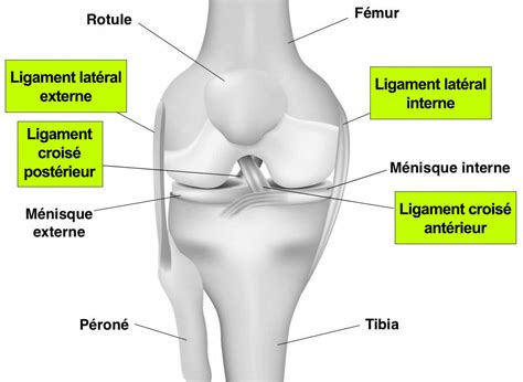 Comprendre le Cash Collatéral : Définition Essentielle et Rôle Crucial ...